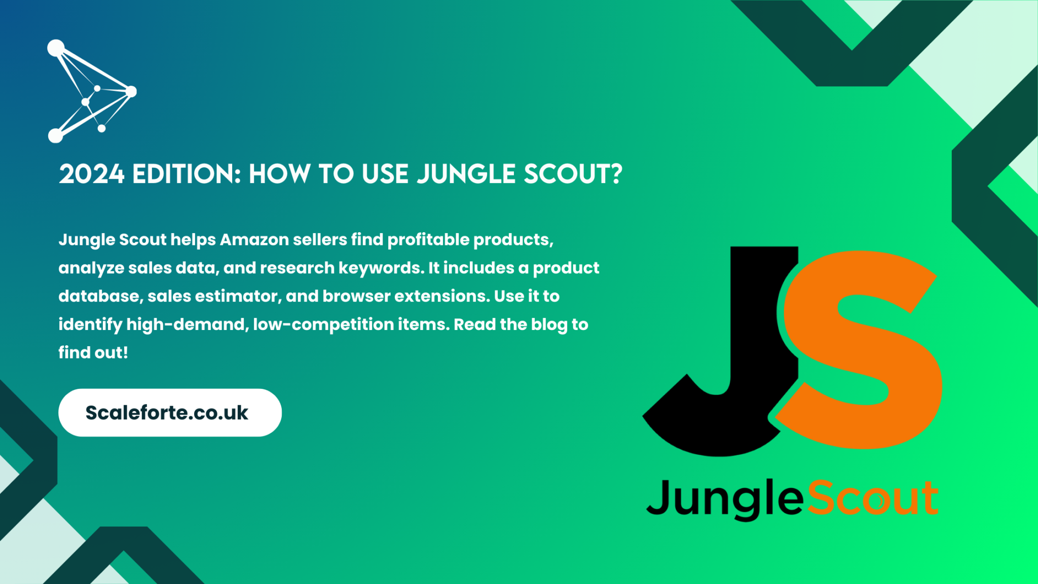 How to Use Jungle Scout in 2024 (+ Features) - Scaleforte